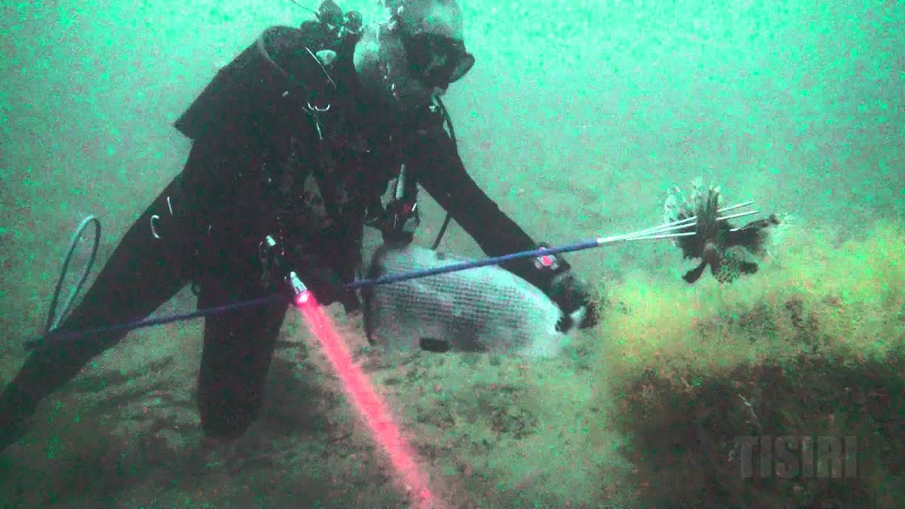 How easy it is to catch lionfish - YouTube