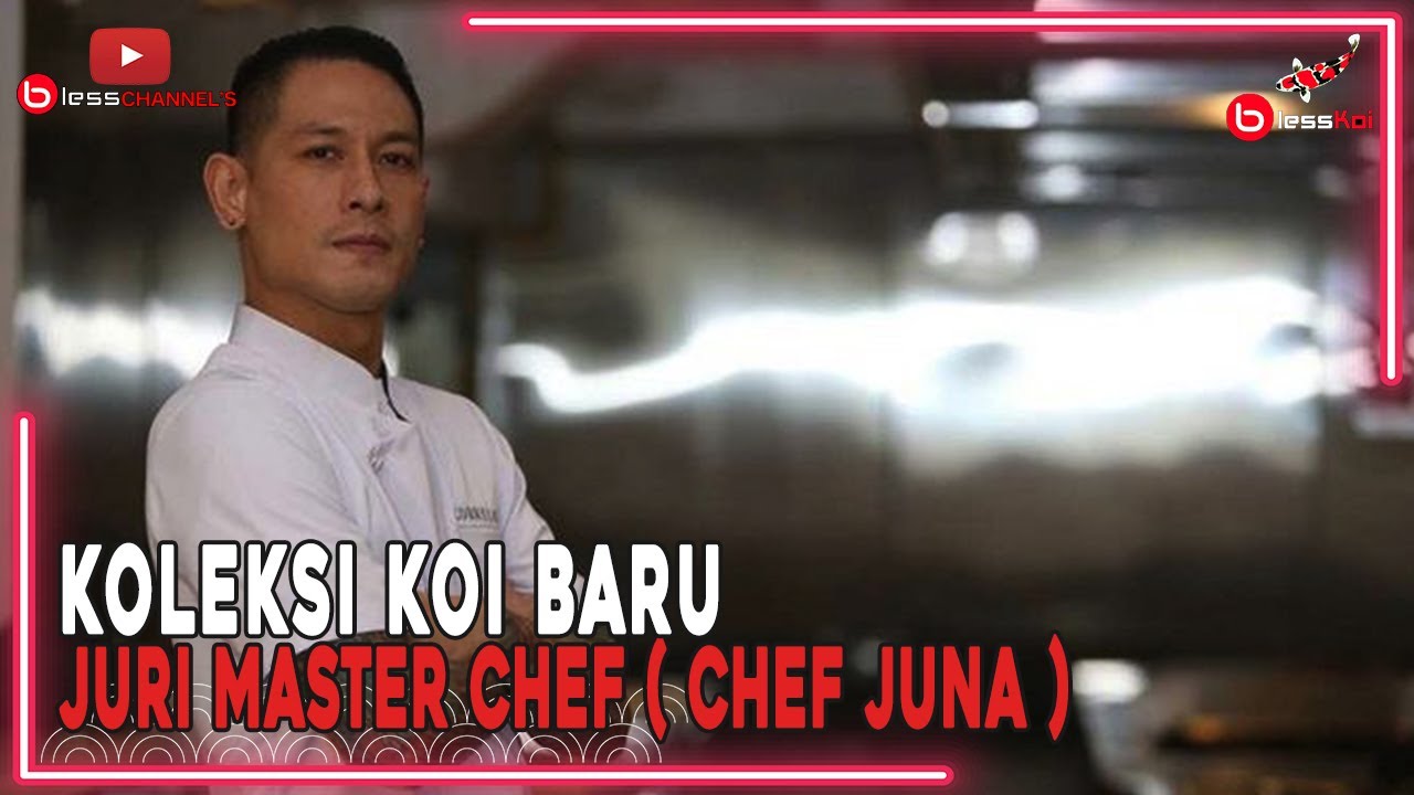 KOLEKSI IKAN BARU JURI MASTER CHEF ( CHEF JUNA ) !!! - YouTube