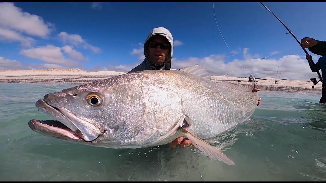 TRACKING SILVER GHOSTS - YouTube