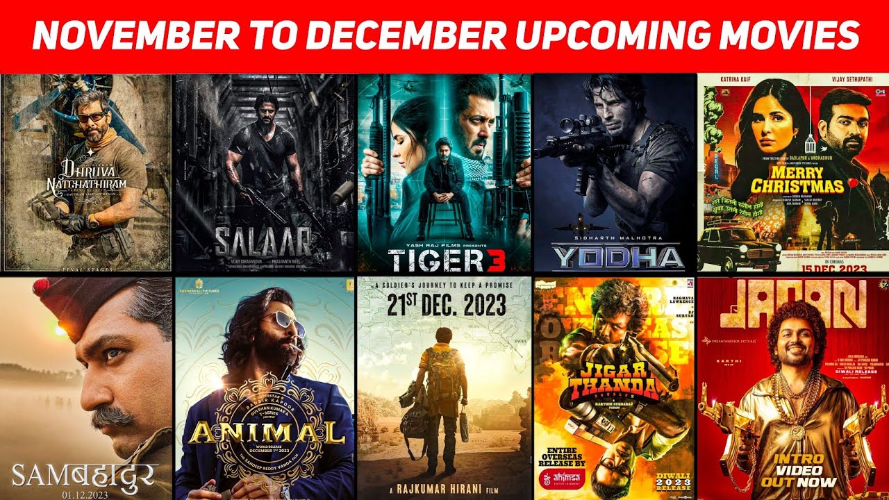 15 Upcoming BIG Movies Releasing November To December 2023 Hindi ...