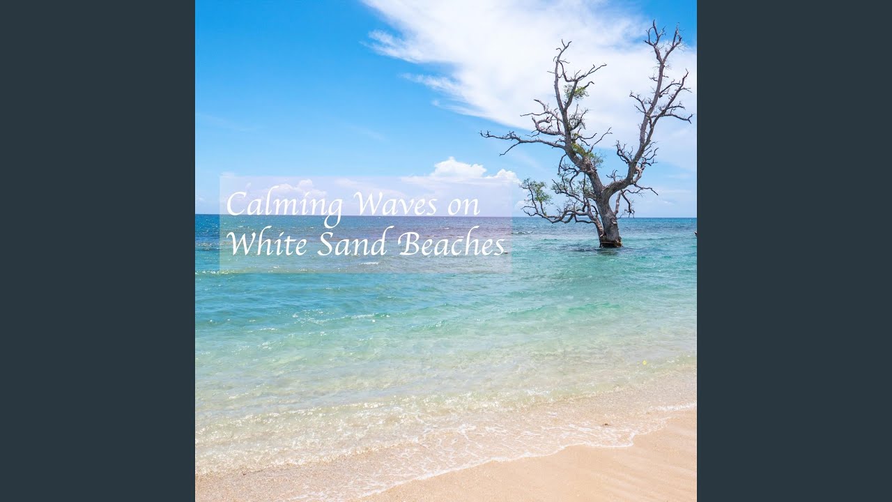 Soothing Ocean Tones - YouTube