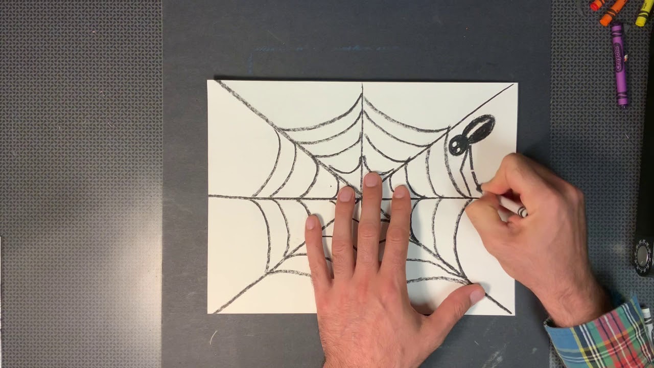 Radial Spider Web with Spider - YouTube