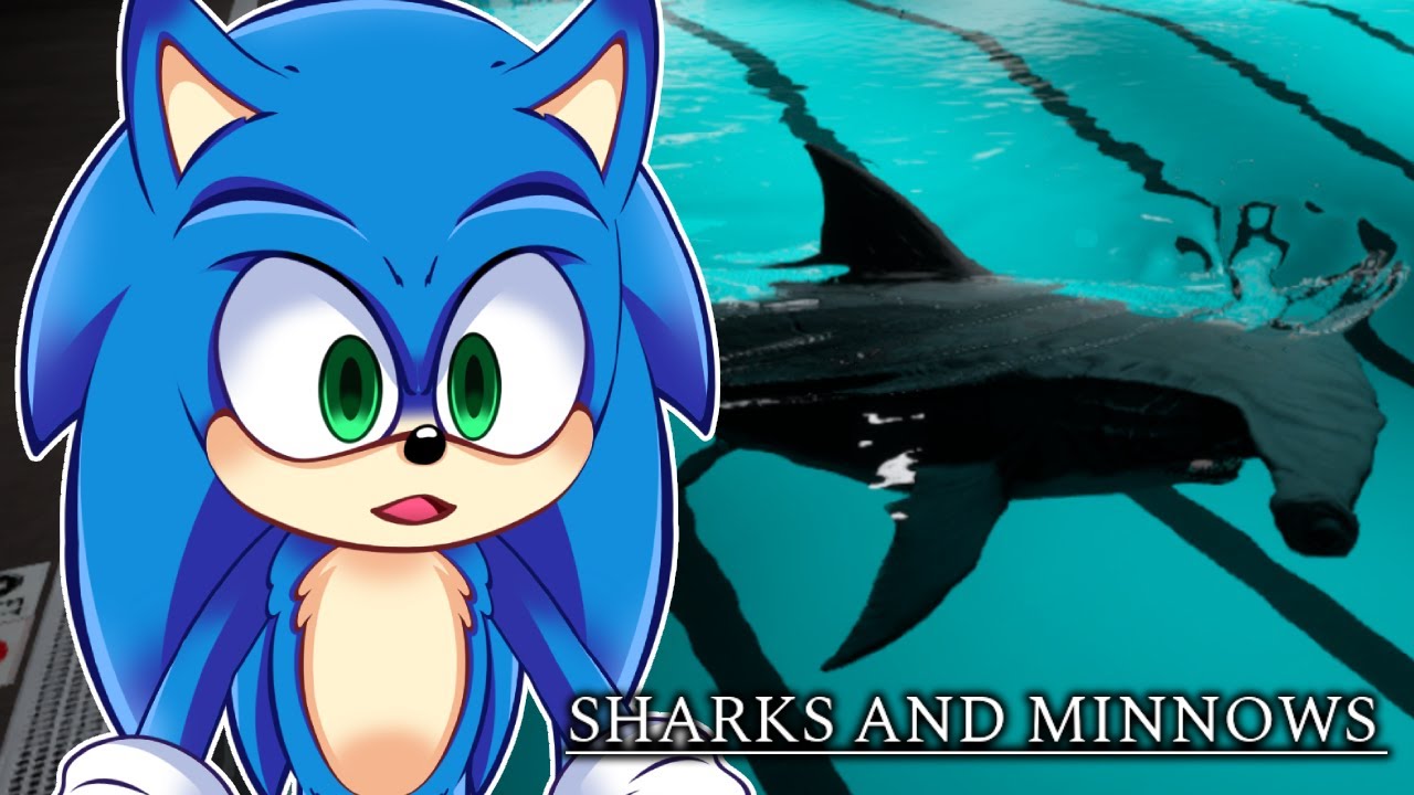 Movie Sonic Plays Sharks and Minnows!! - YouTube