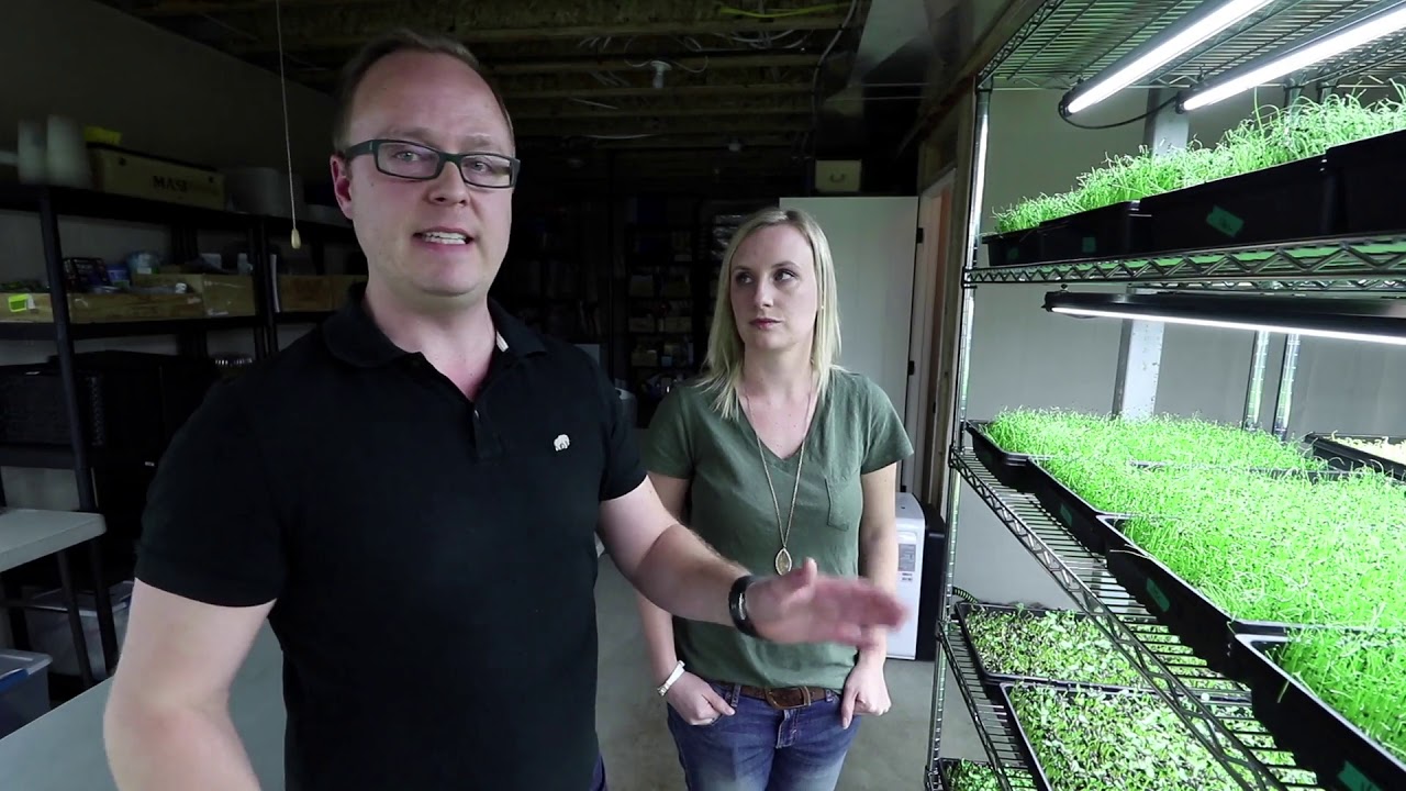 Microleeks with Micro Acres - From The Field samples - YouTube