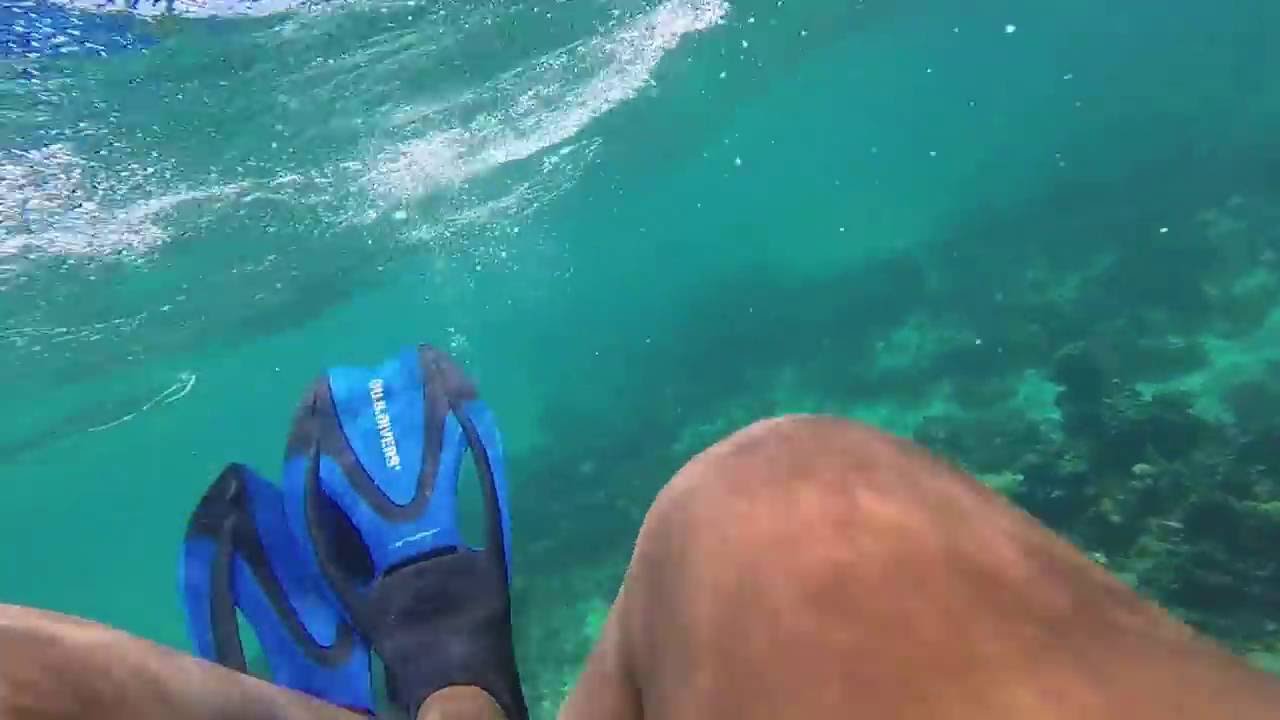 GOPR2318- Snorkeling, Athol Island Bahamas - YouTube