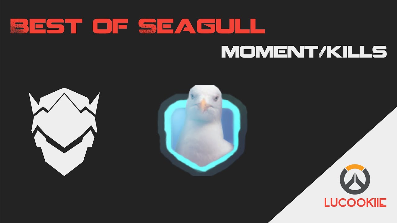 OVERWATCH | BEST OF SEAGULL 2016 (AMAZING OVERWATCH PLAYER) - YouTube