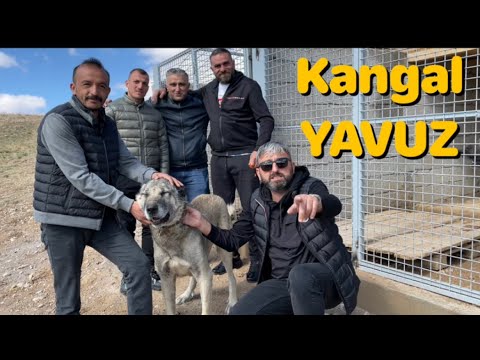 BARIŞ ÇİÇEK VE KANGALLARINI ZİYARETE GİTTİK