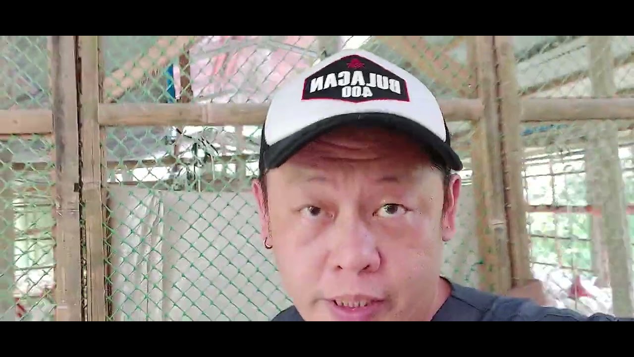 Buhay Beterinaryo 2 - YouTube