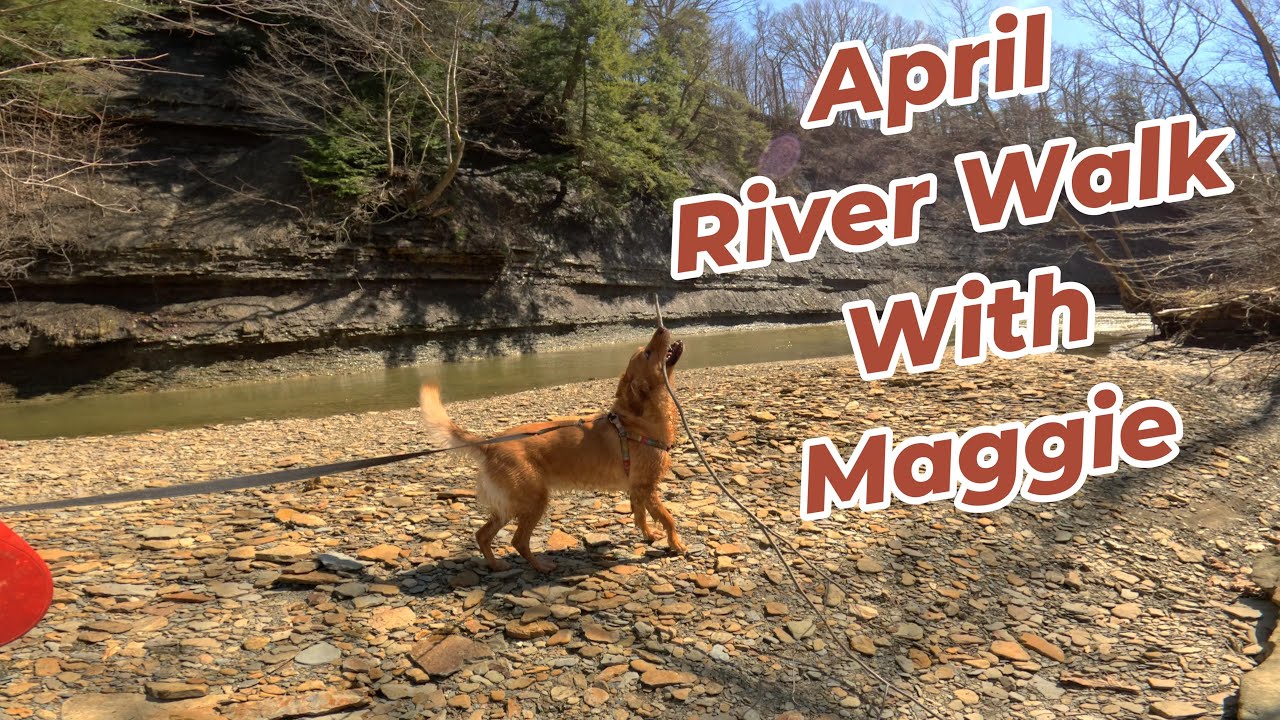 April River Walk With Maggie - YouTube