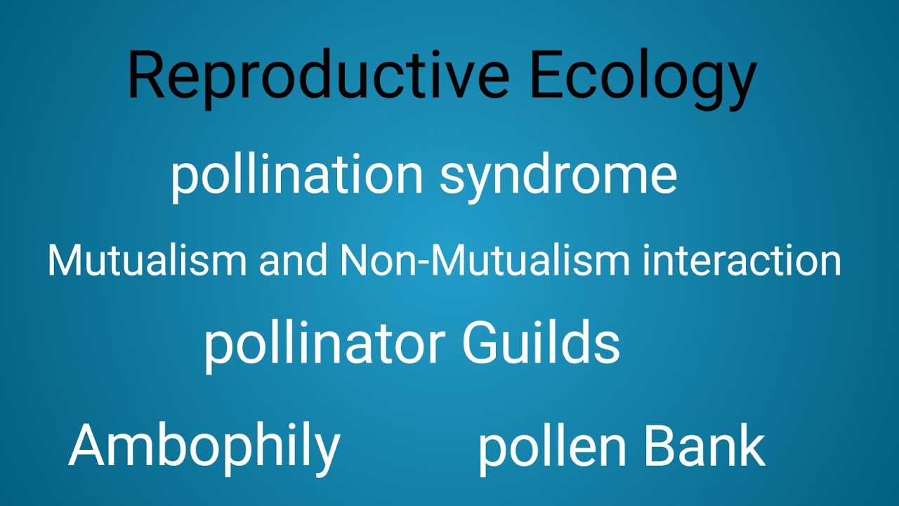Pollinator guild | Ambophily| type of interaction | pollen Bank - YouTube