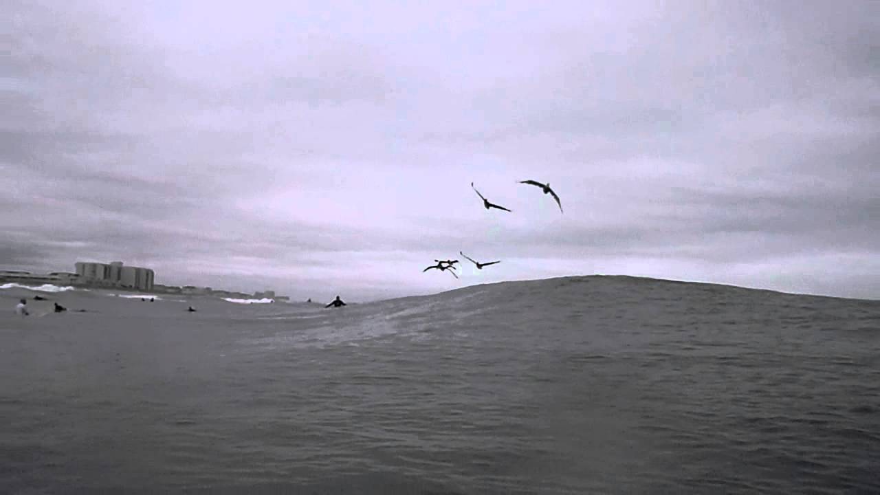 Pelican fly by - YouTube