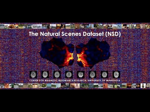 Overview of NSD data files - YouTube