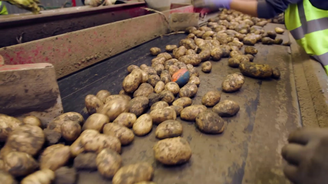 TuberLog Electronic Potato from Martin Lishman - YouTube