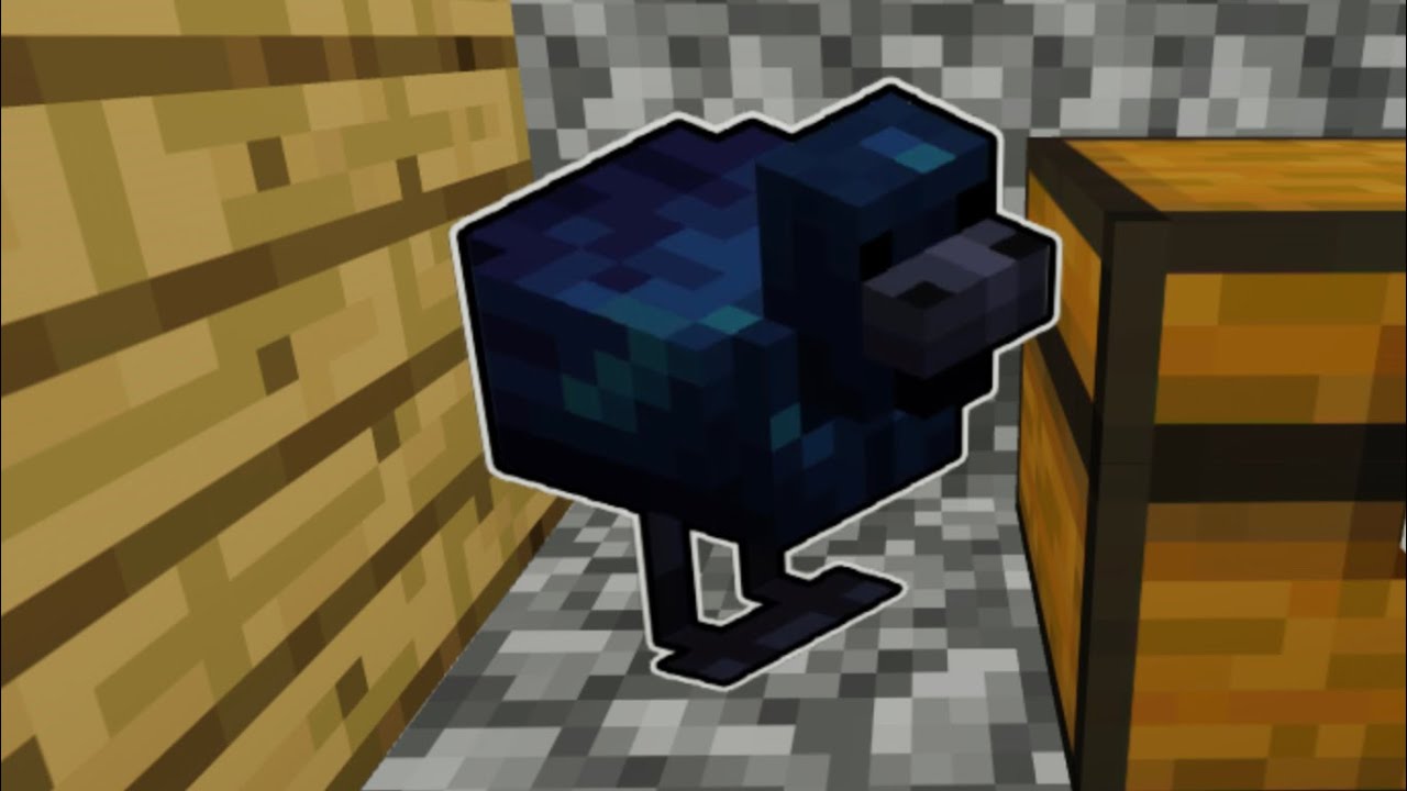 HOW TO GET MIDNIGHT CHICKEN IN FIND THE MINECRAFT MOBS - YouTube