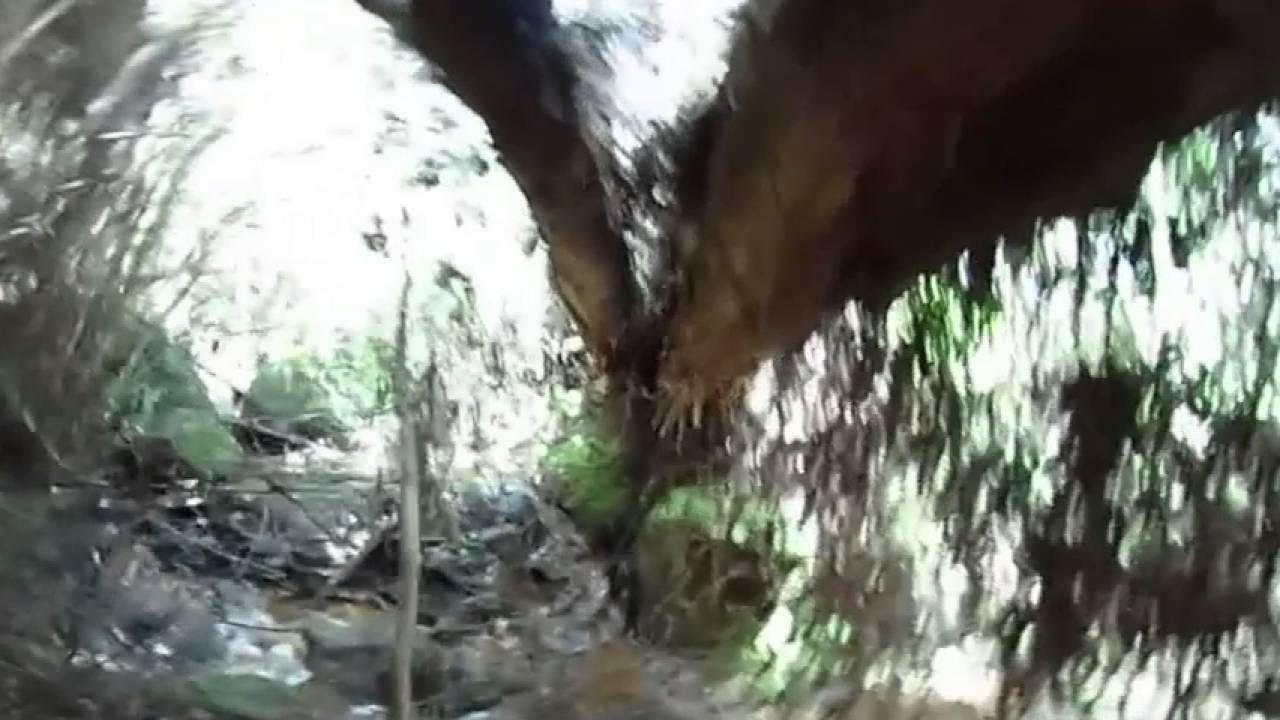 360 Test Jungle Slide Hole (INTERACTIVE VERSION) - YouTube
