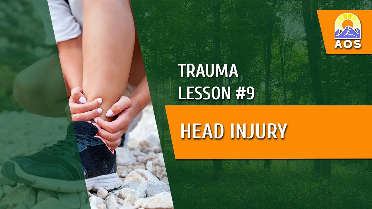 20. Head Injuries Demystified: Critical Care and Myths Busted in the ...