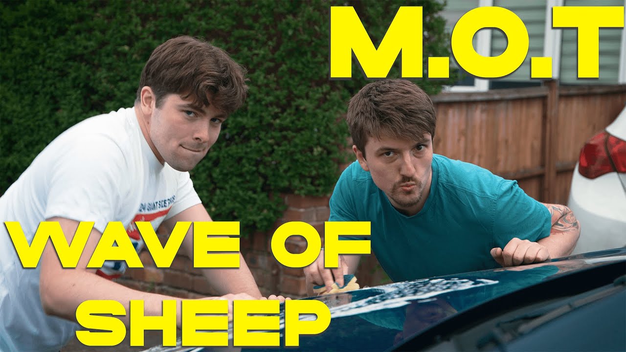 Wave of Sheep - M.O.T - YouTube