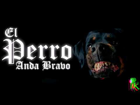 Blaze Jones.- El Perro Anda Bravo (Doggie On The Beat)