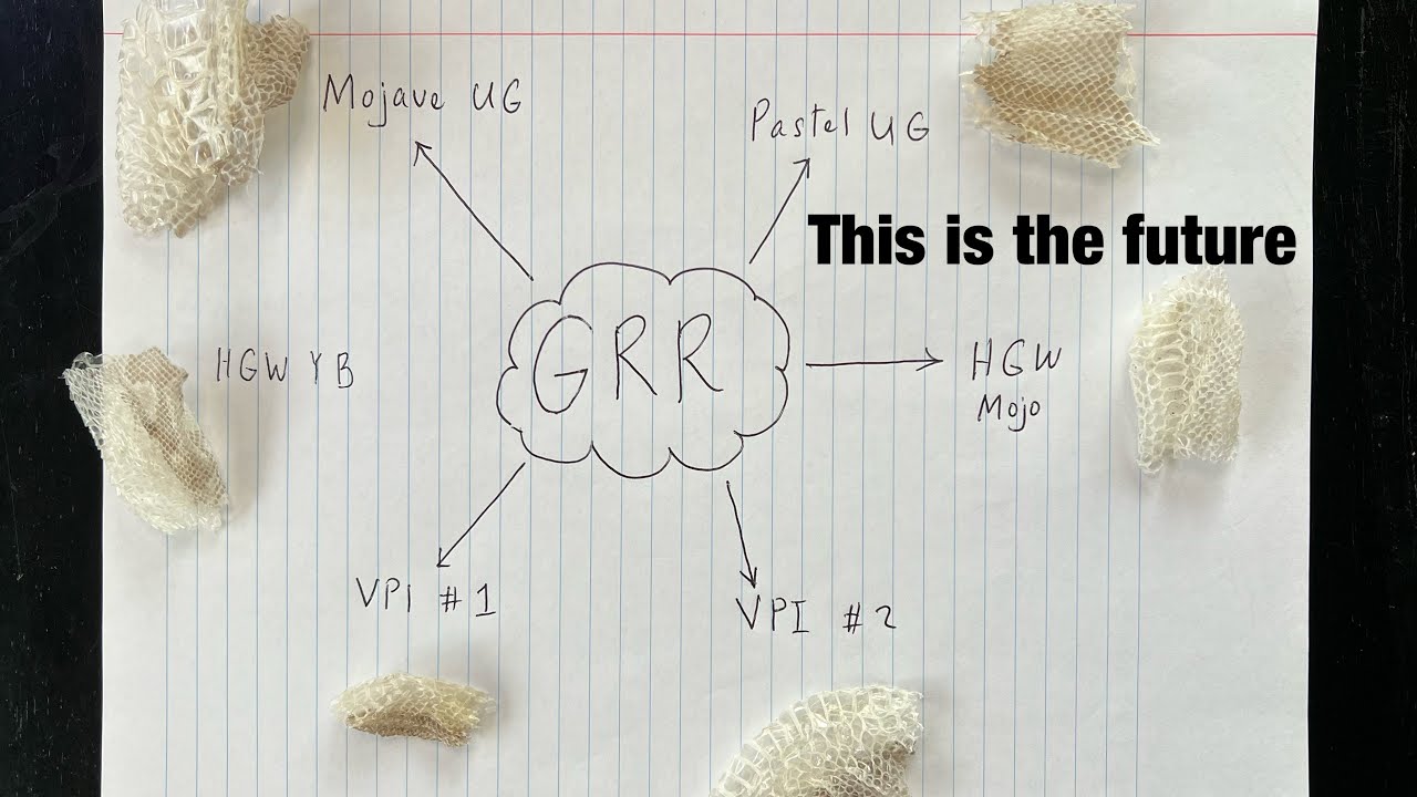 Part 1: Shed Testing with Grey Rider Reptiles - YouTube