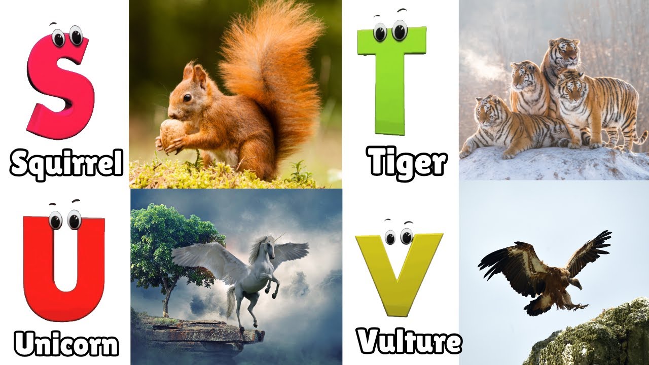 Animals ABC Song | Animals Alphabet Song | Alphabet Letters | Phonics ...