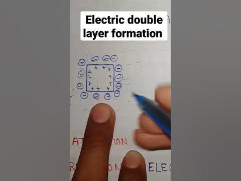 Electric double layer formation | electric double layer | stern layer ...