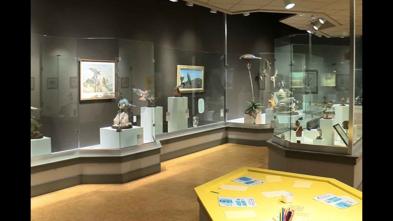 Experience Jackson Features Ella Sharp Museum - YouTube