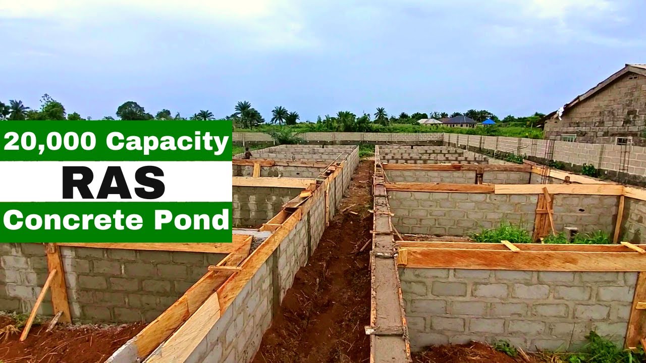 A 20,000 Capacity RAS Concrete Pond Construction in Ogun State - YouTube