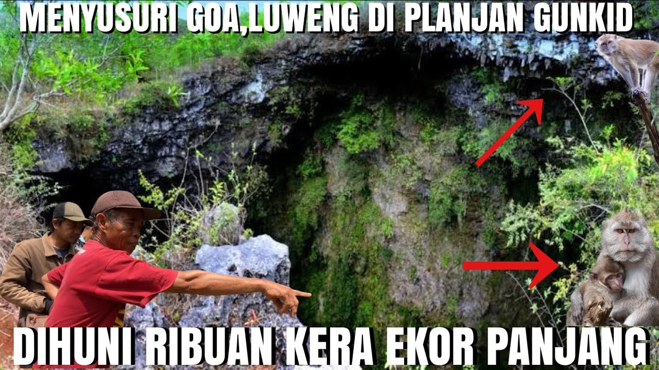 MENYUSURI GOA,LUWENG YANG TAK JAUH DARI PENEMUAN GOA KRISTAL DI PROYEK ...