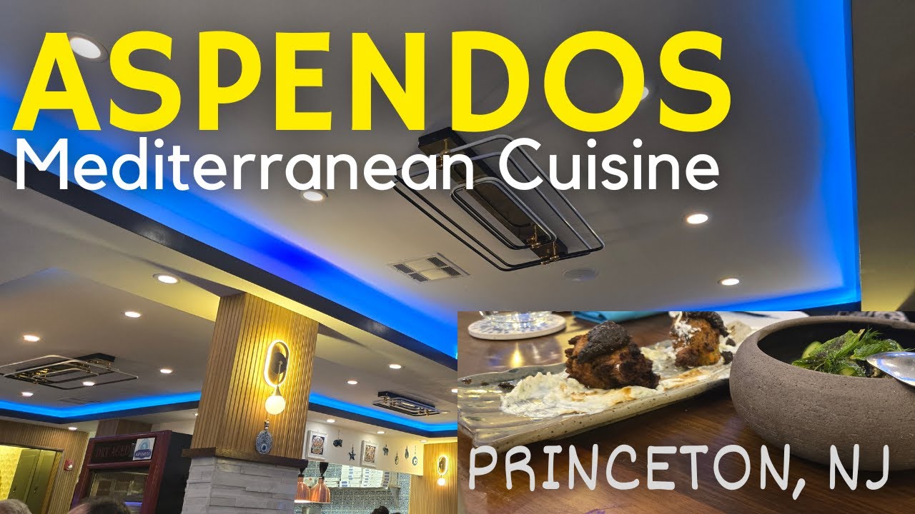 Aspendos Mediterranean Cuisine Princeton NJ HONEST Review - YouTube