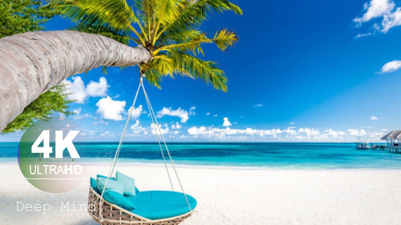 Unwind with this Mesmerizing 4k Relaxation Video! - YouTube