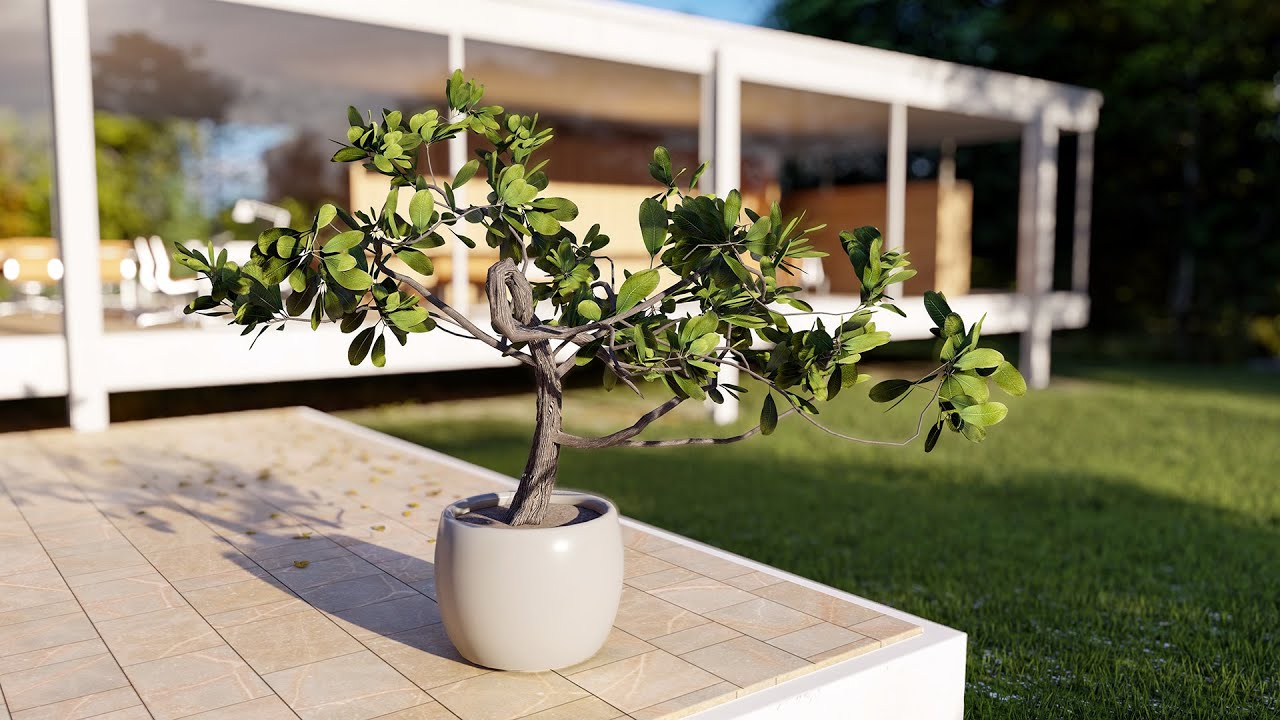 Motion tree and high quality for Lumion | Bonsai01 free | Lumion Easy ...