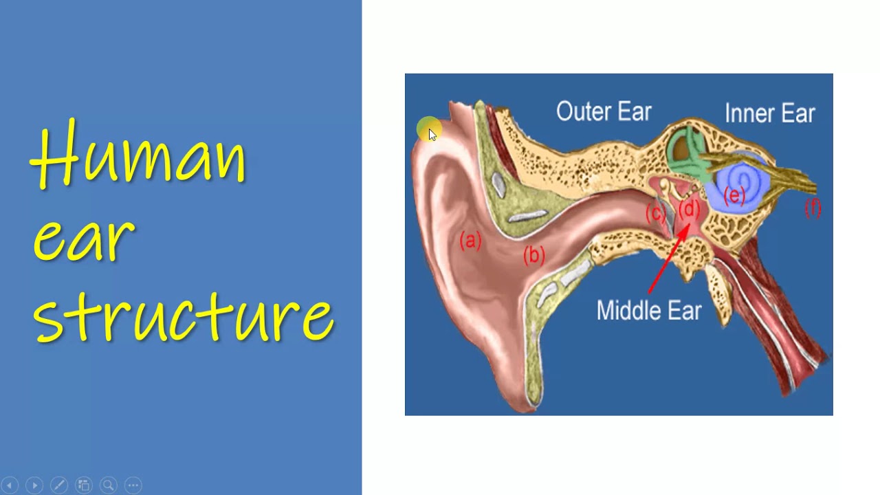 science session 11 how do we hear music thursday 7 5 grade 6 quarter 4 ...