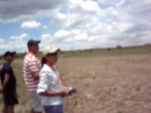 Tower hobbies 40 MKII trainer low pass - YouTube