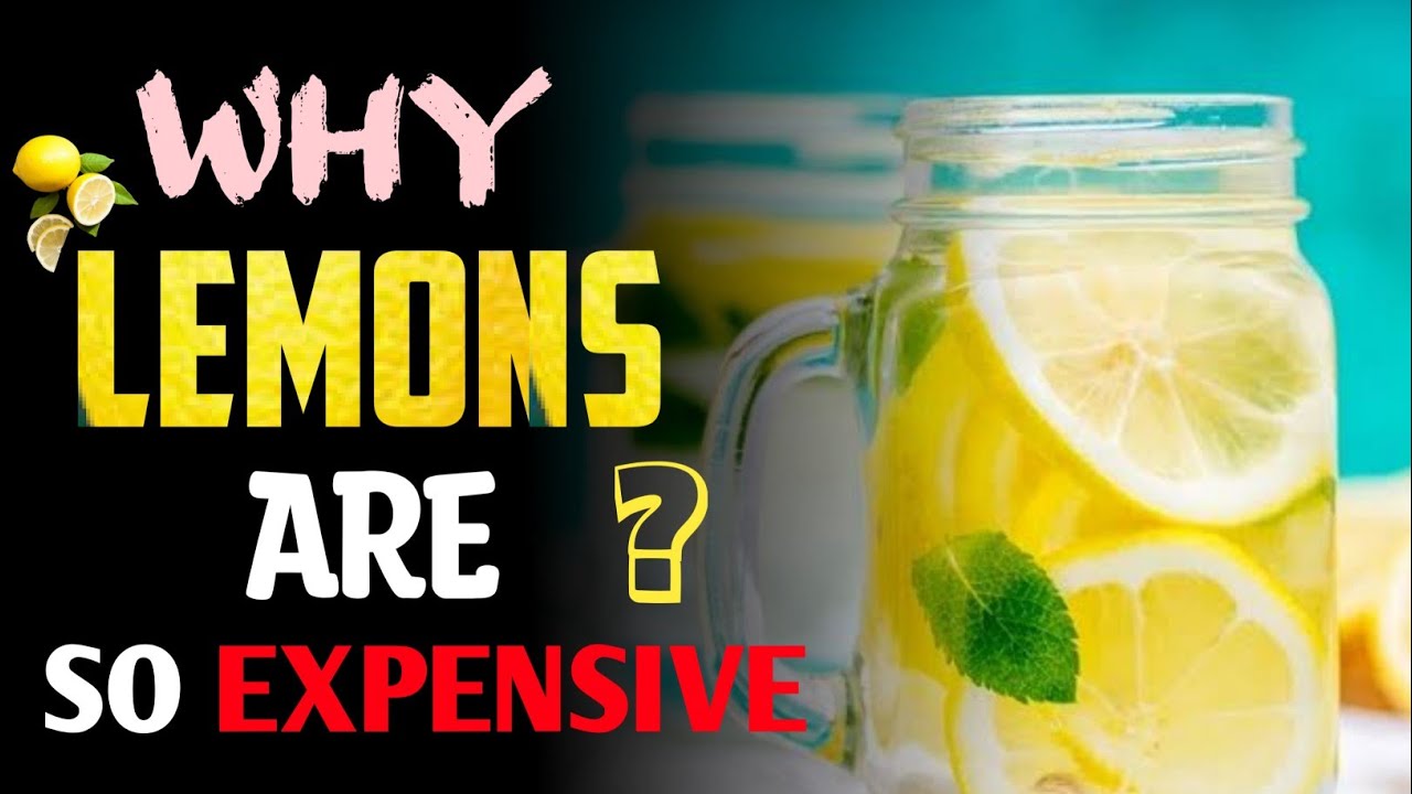 Lemons more expensive than petrol? | Why are lemons so expensive in ...