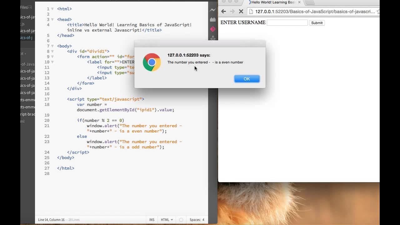 Inline vs External JavaScript - YouTube