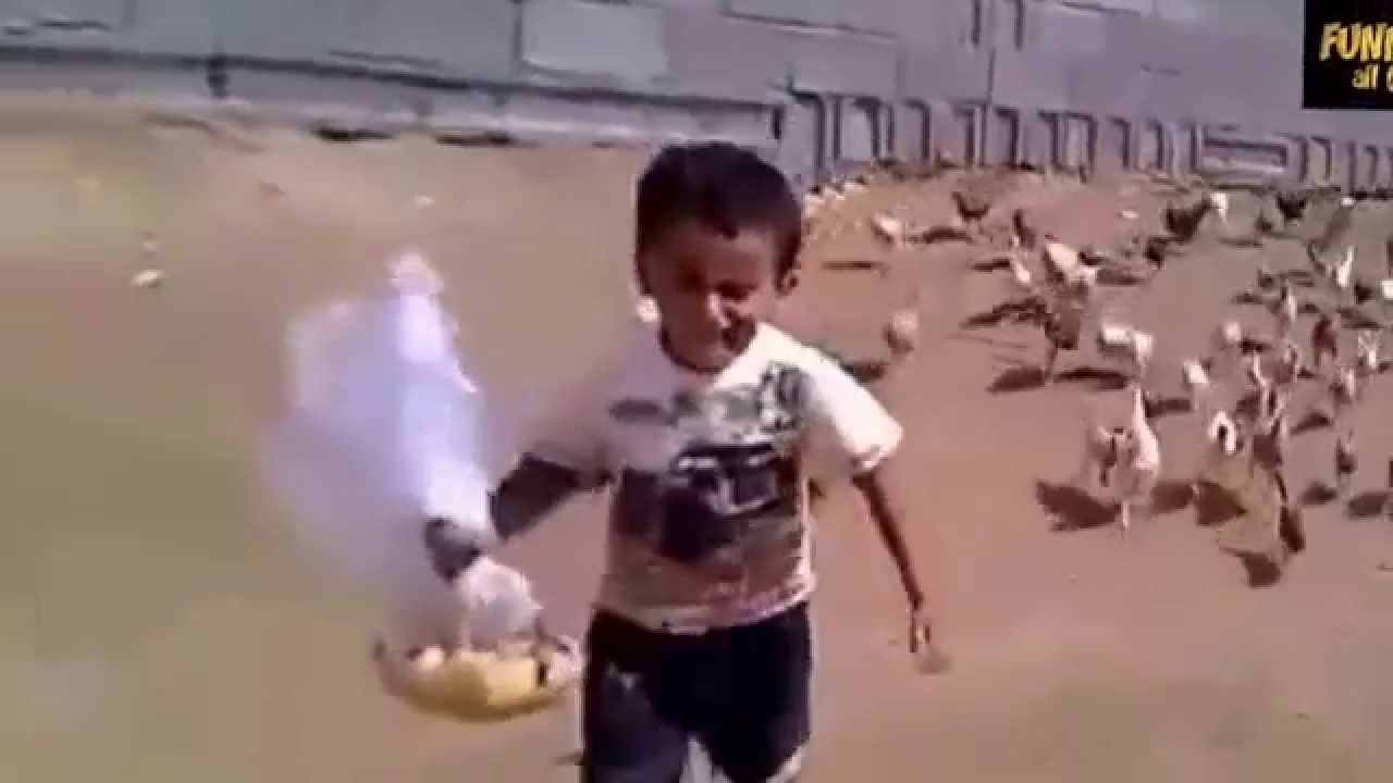 funny children Child crying in fear of chickens - YouTube