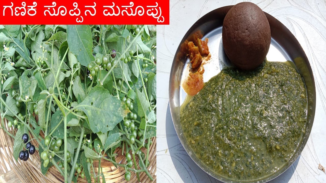ಗಣಿಕೆ ಸೊಪ್ಪಿನ ಮಸೊಪ್ಪು /ganike soppina masoppu / ganike soppina sambar ...