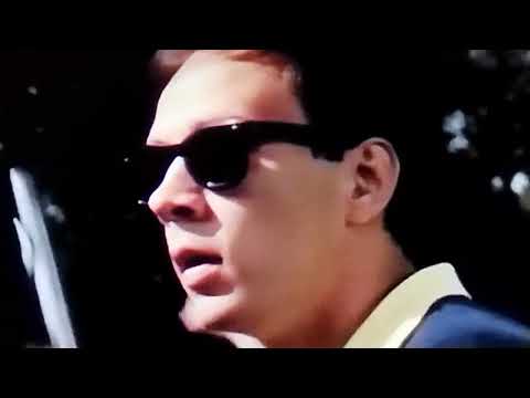 lepa brena hajde dase volimo