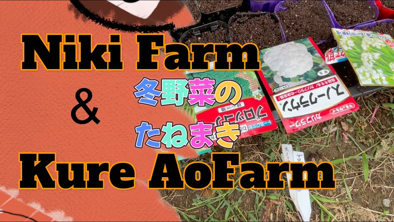 冬野菜の種まき Niki Farm＆Kure Aofarm 2024/9/3 - YouTube