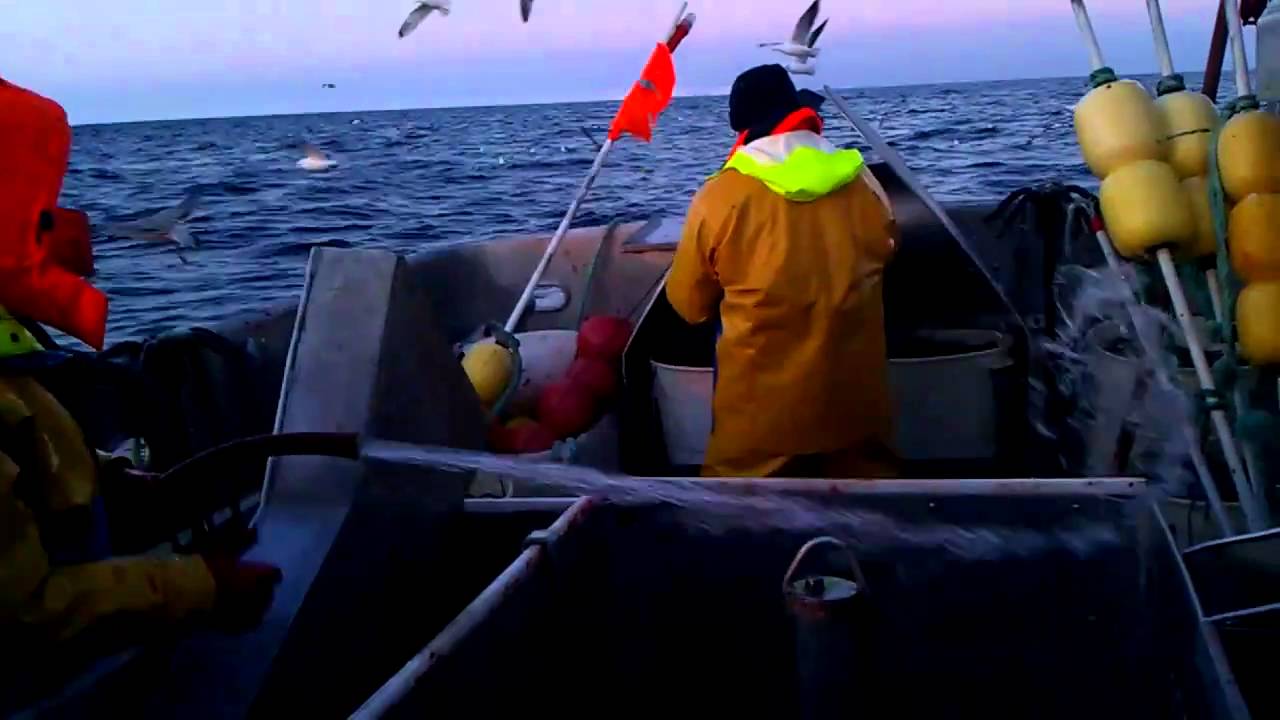 Selfa Arctic Kystsjark 35 - YouTube