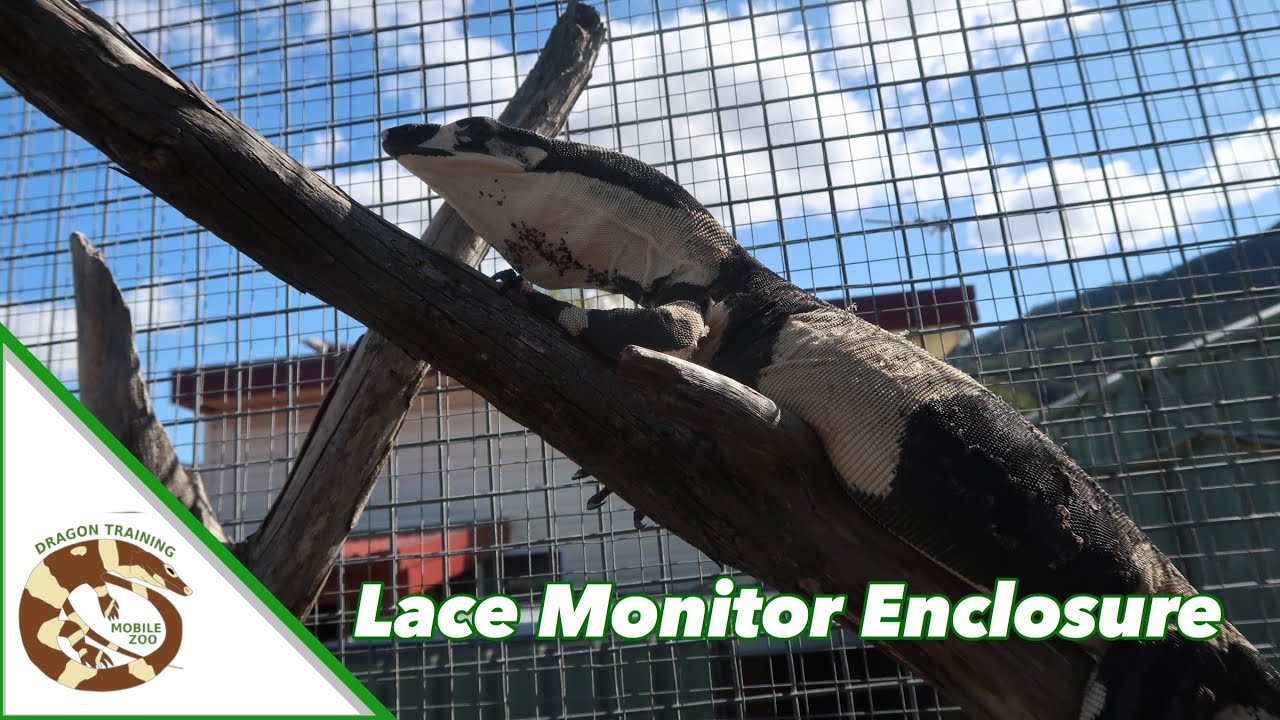 How To Build A LACE MONITOR ENCLOSURE!! - YouTube