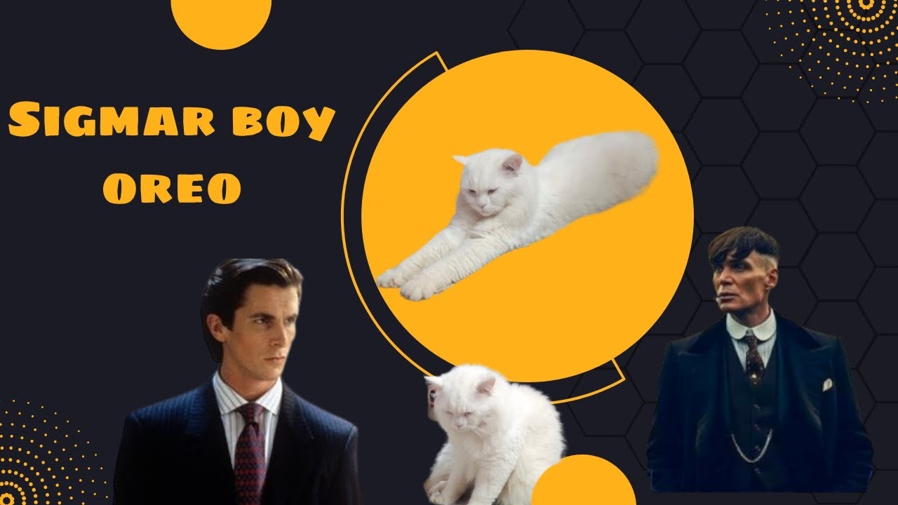 Oreo sigma boy ban gaya #dailyvlog #naaz #vlog #views - YouTube