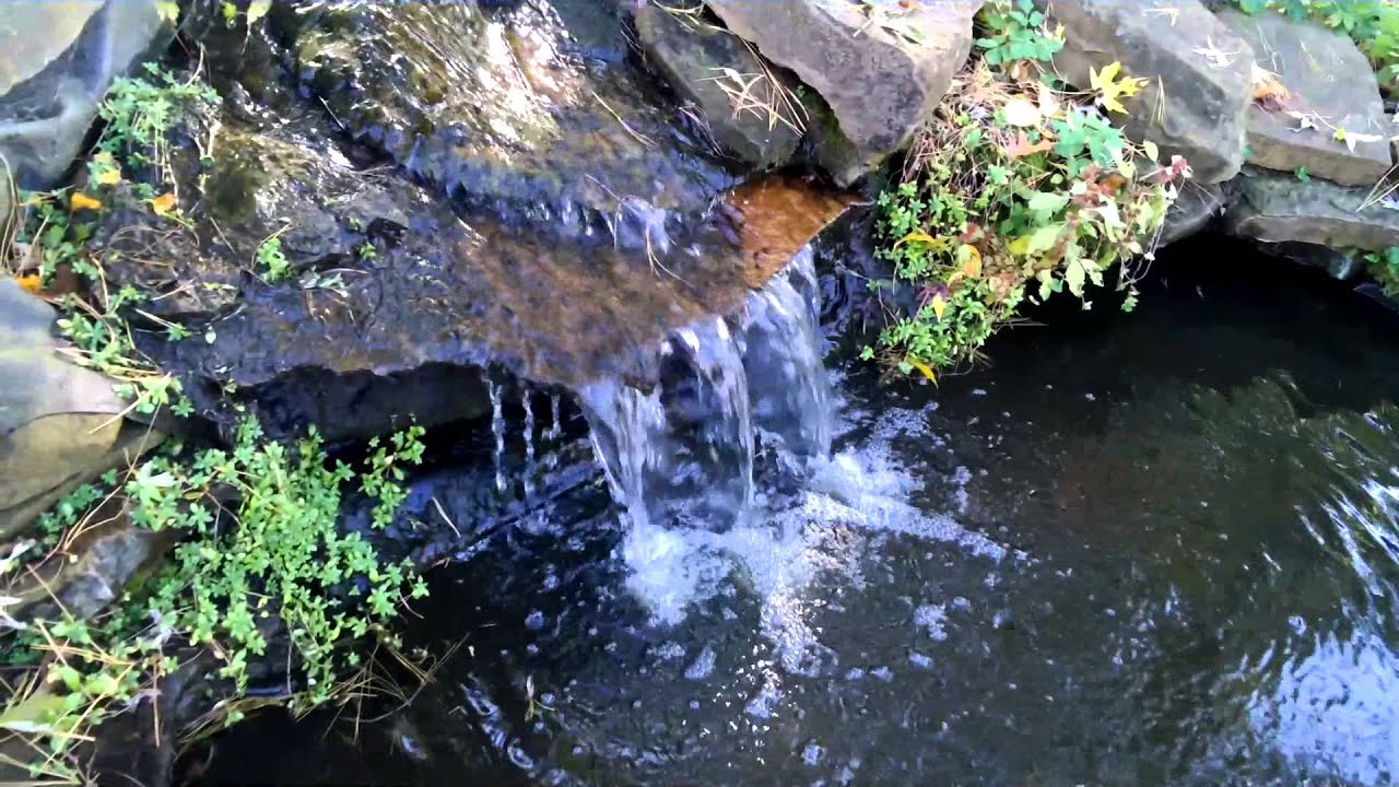 Pond Fall prep 2 clean waterfall - YouTube