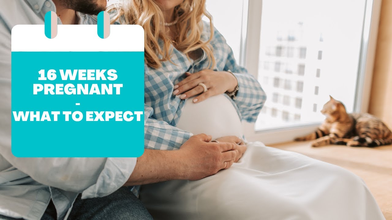 16 WEEKS PREGNANT - WHAT TO EXPECT? - YouTube