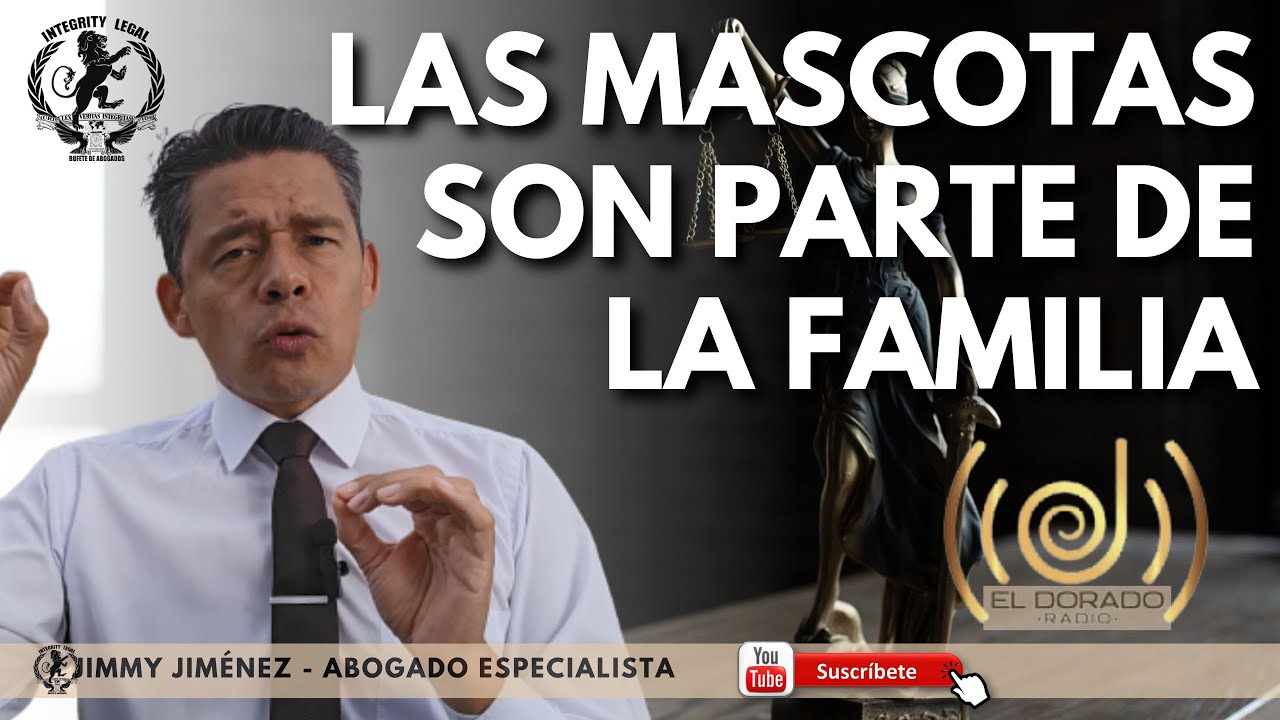 LA FAMILIA MULTIESPECIE | Las mascotas son parte de la familia ...