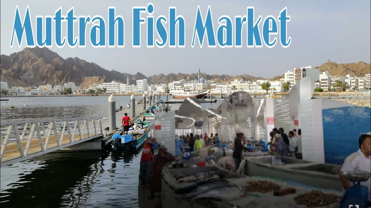 Muttrah Fish Market / Fresh fishes from the sea - YouTube