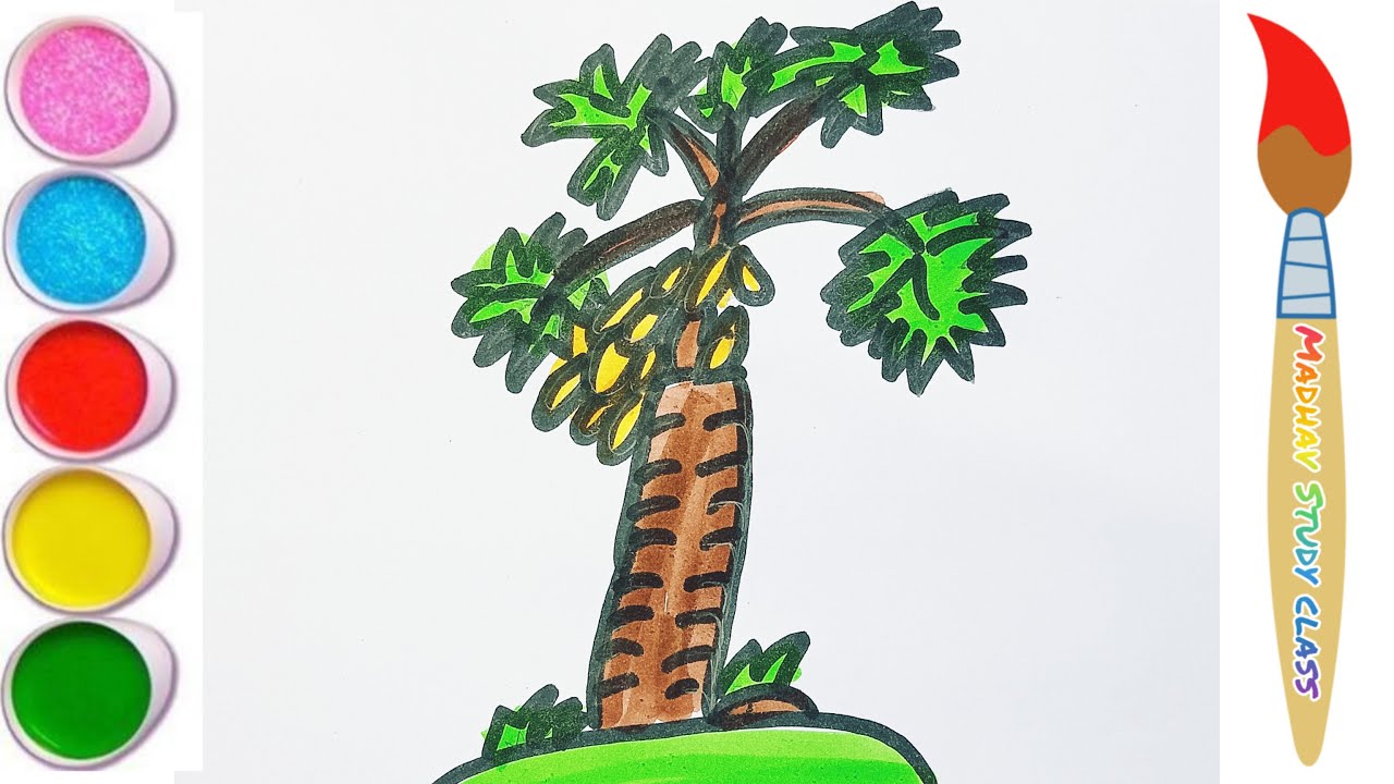 How to Drew Papaya Tree Easy Drawing, Colouring & Painting for Kids ...