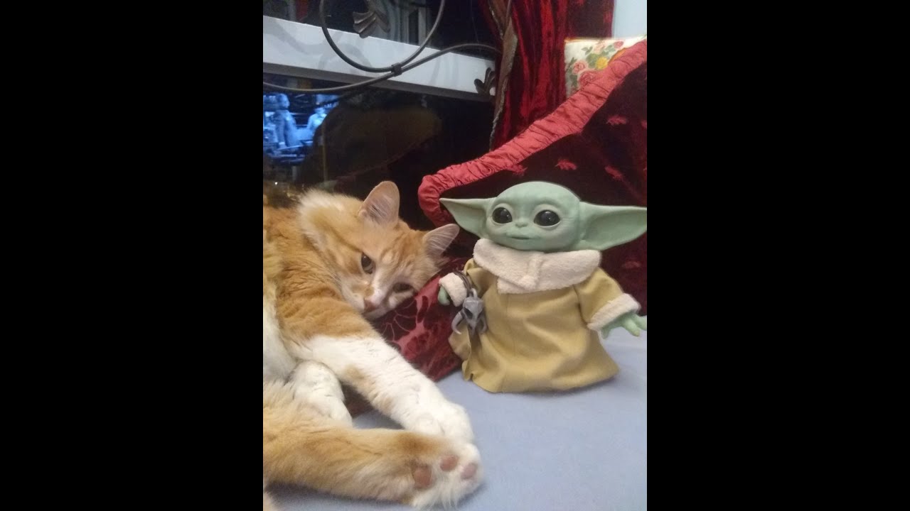 Cat reactions to the Baby Yoda (Grogu) animatronic toy - YouTube