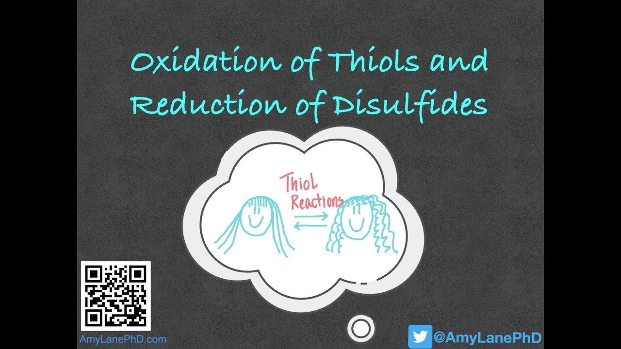 334 BCH3023 Oxidation of Thiols and Reduction of Disulfides - YouTube