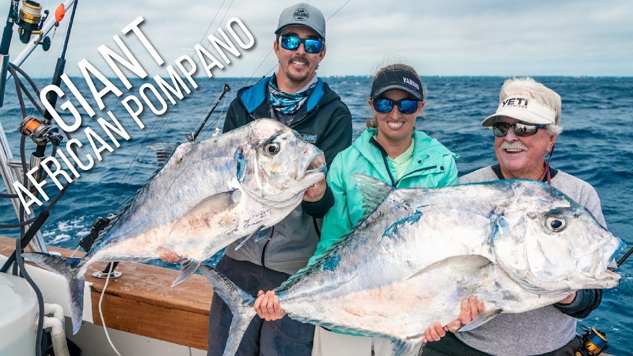 GIANT African Pompano & Sailfish - Florida Keys Fishing like you've ...